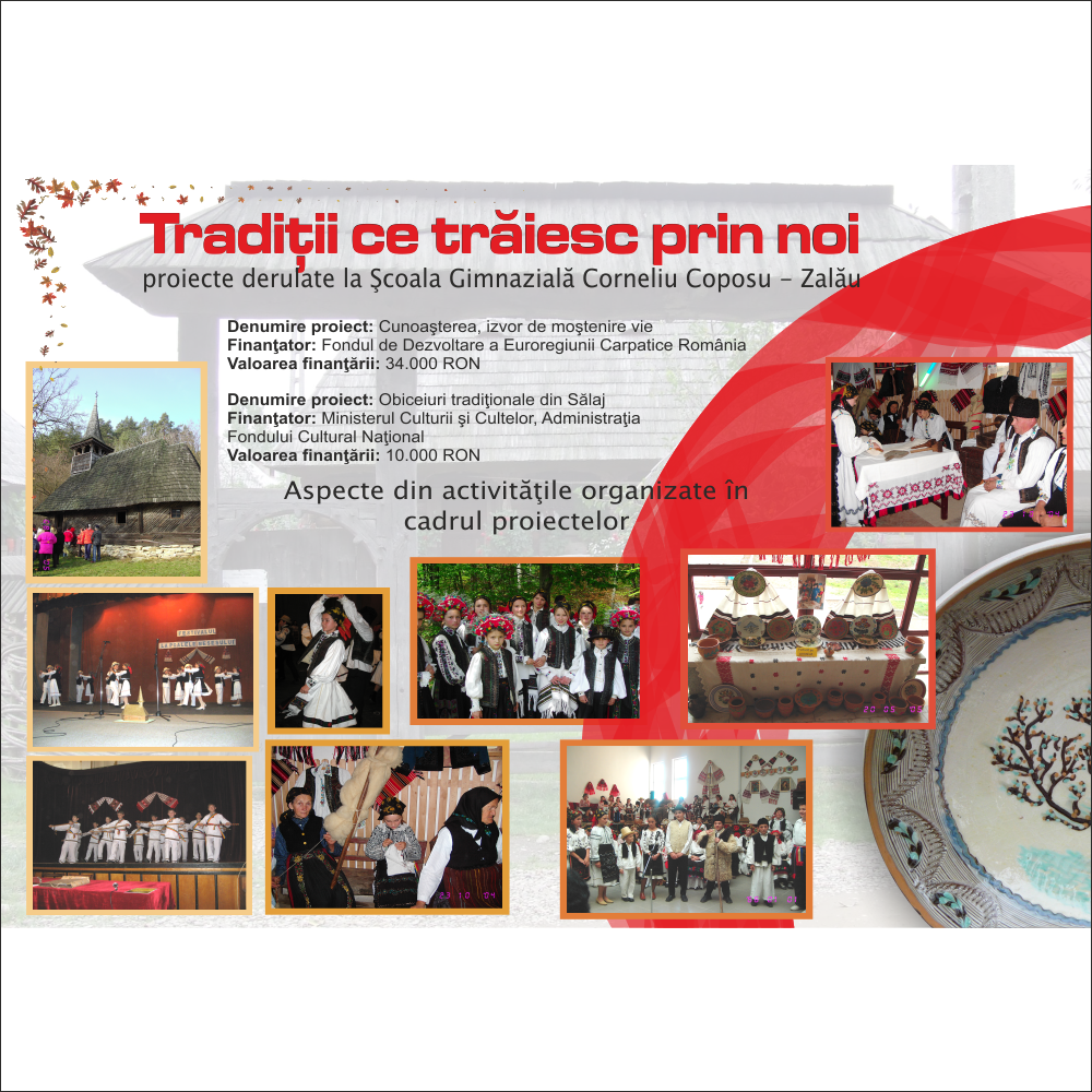 alfabetare.ro - Panou proiecte